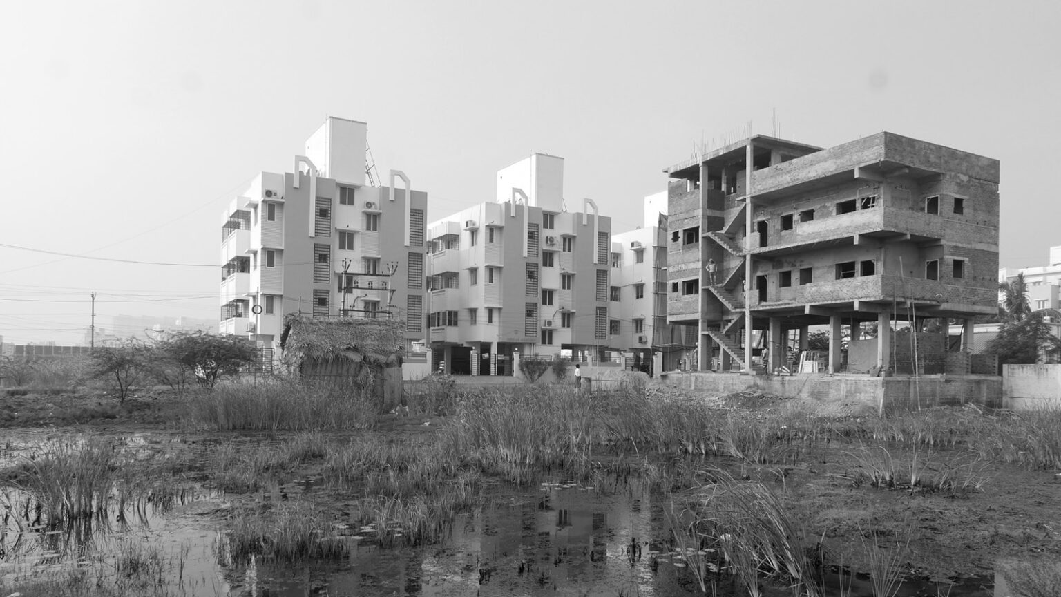 What is urban nature? – HIAS